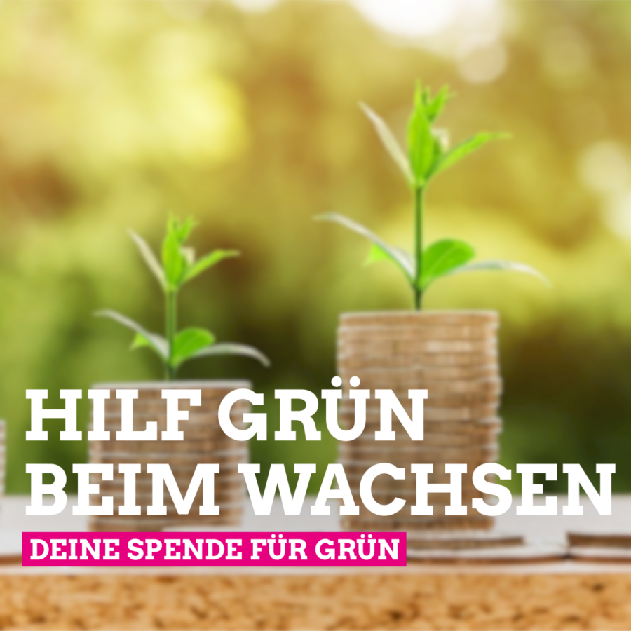 Grüne Werra-Meißner